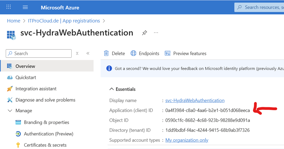 Deploying Hydra Manually – Login VSI